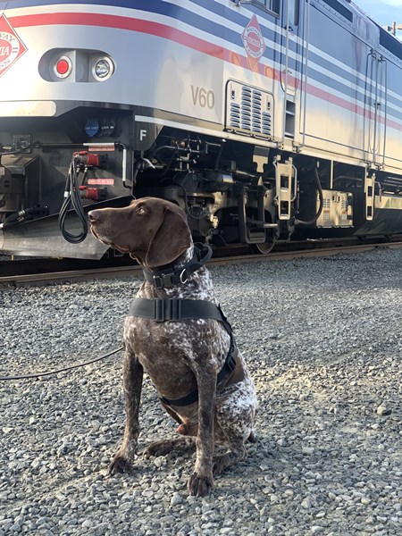 Passenger Safety | Virginia Railway Express